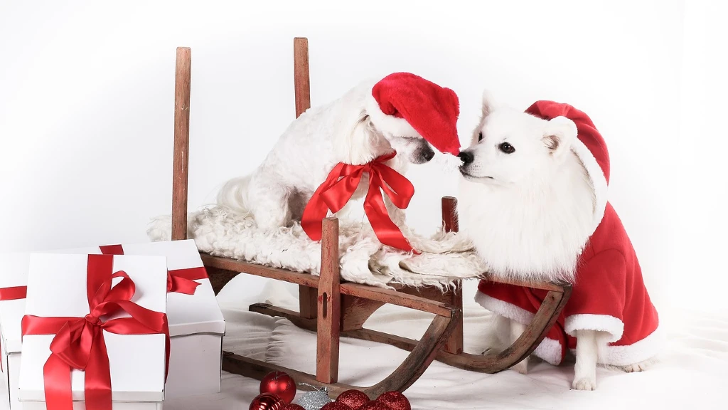 Diy Dog Costume Ideas For All The Holidays | Pawparazzi Resort